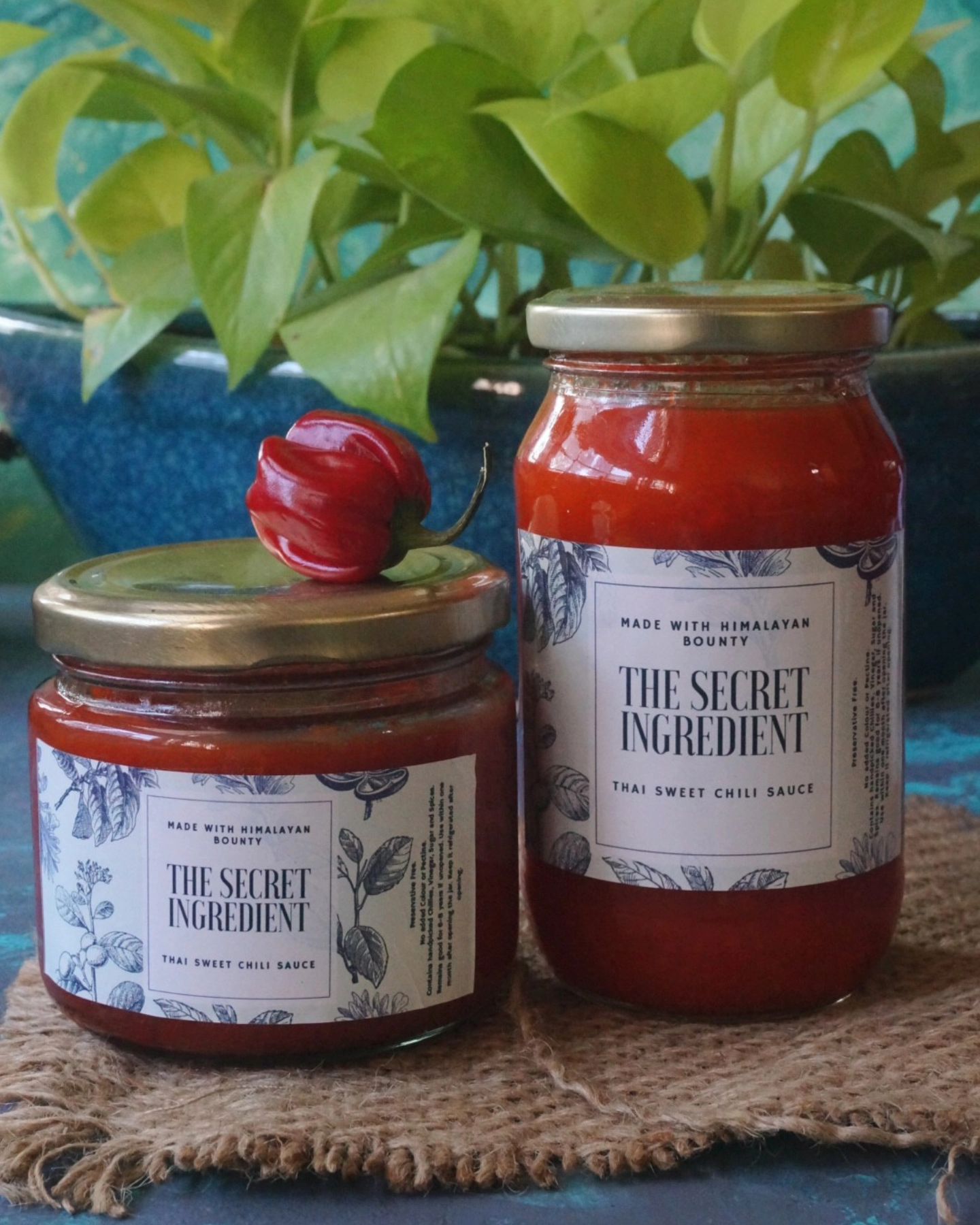Home « The Secret Ingredient
